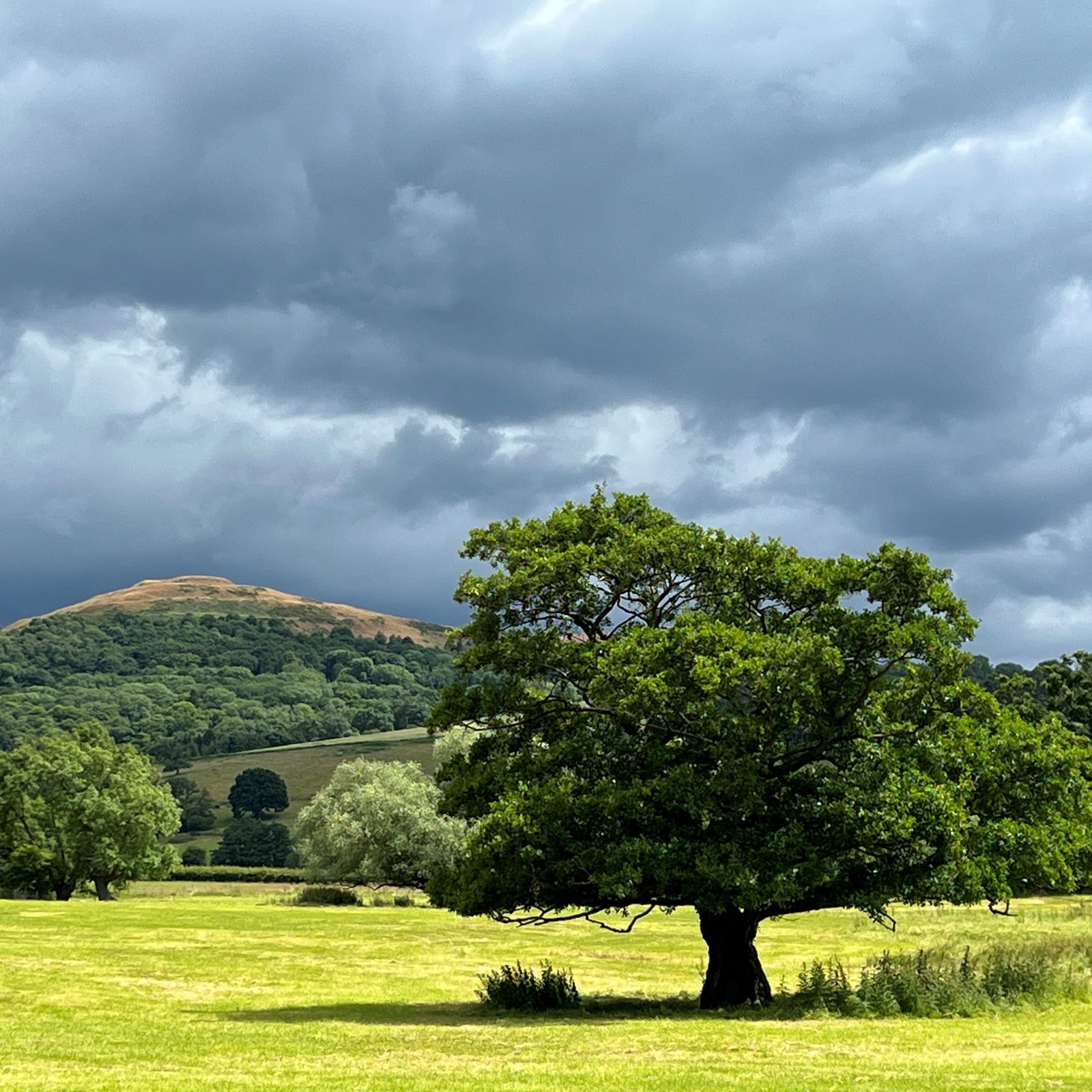 About the Malvern Hills National Landscape – Malvern Hills National ...