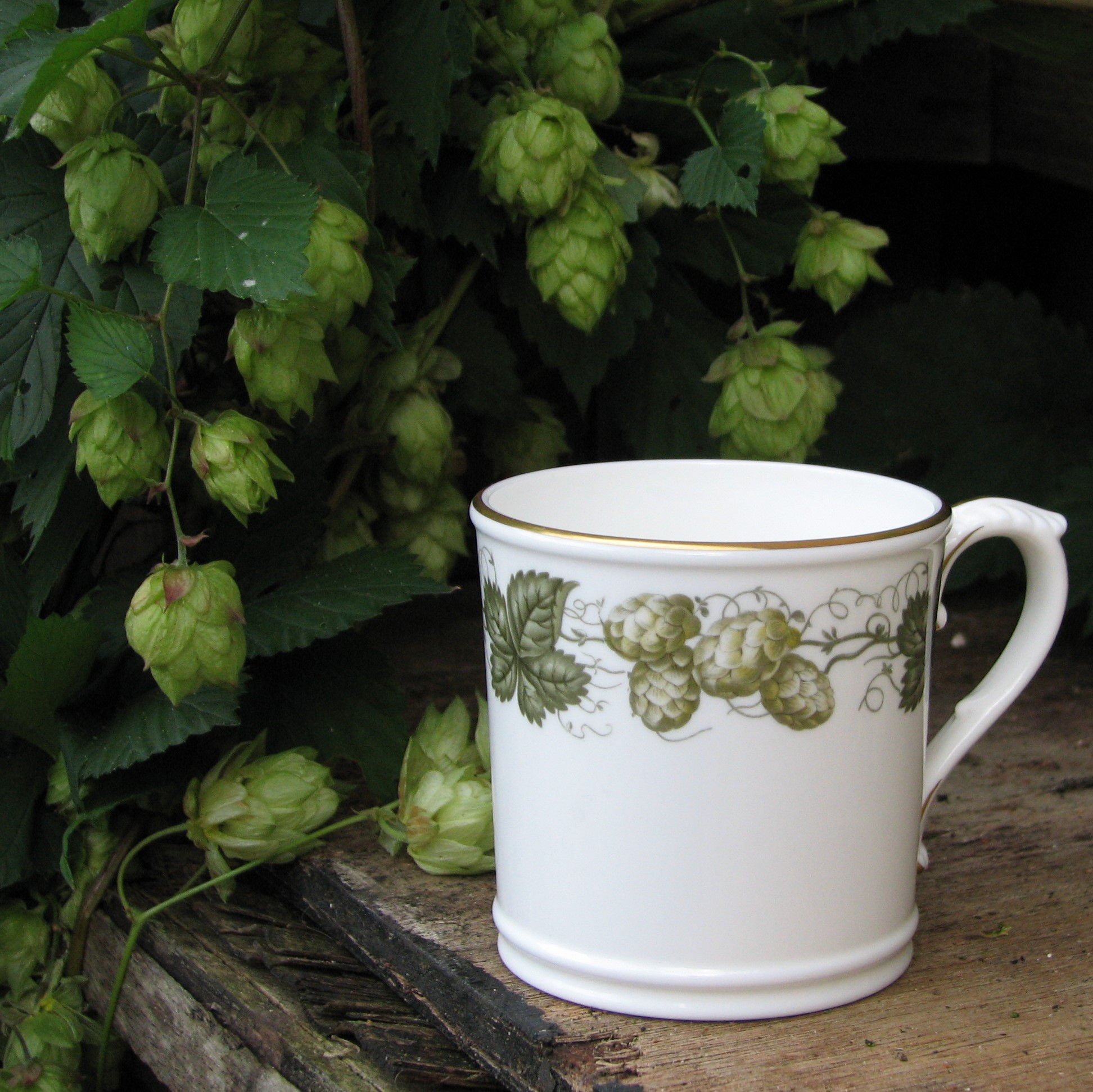 Walking – Malvern Hills National Landscape